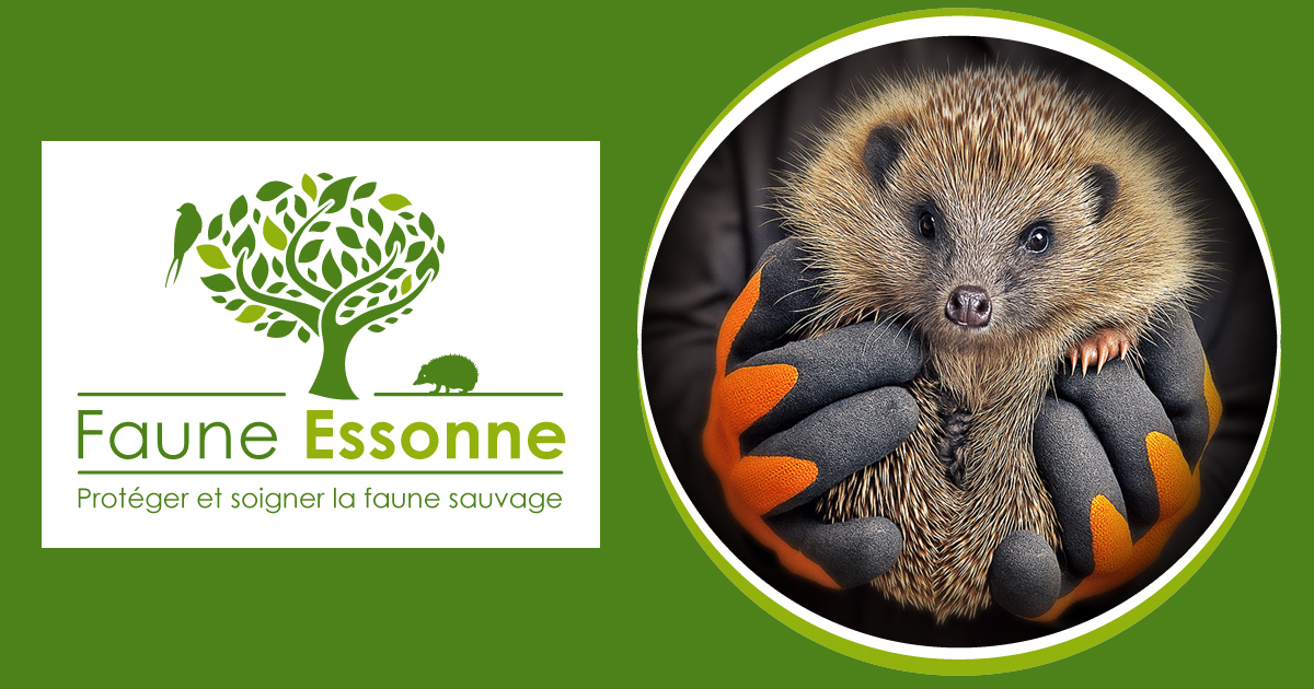 Faune Essonne | L'Association | Protéger et soigner la faune sauvage